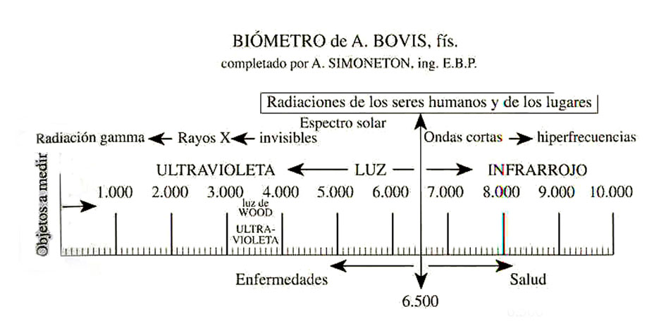 biometro bovis